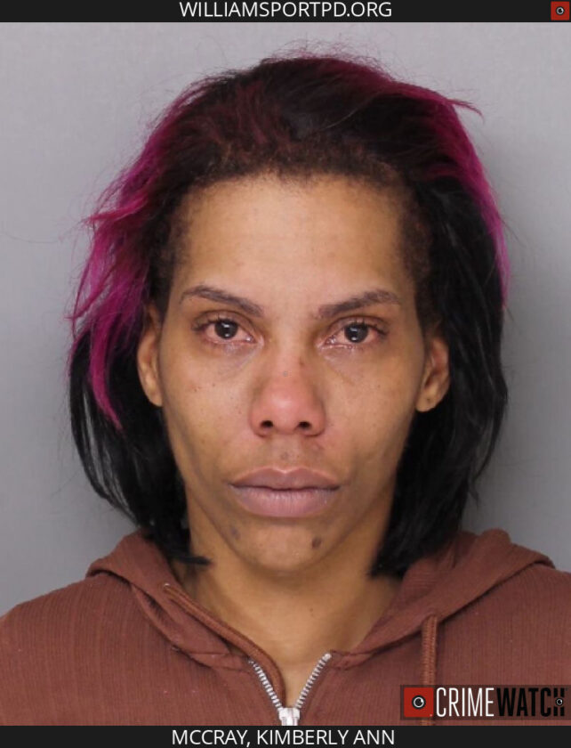 Mother jailed after allegedly threatening to “shoot up” Lycoming County ...